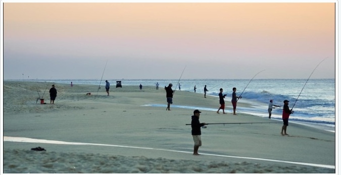 Pesca del Pagel - Breca: Trucos y técnicas