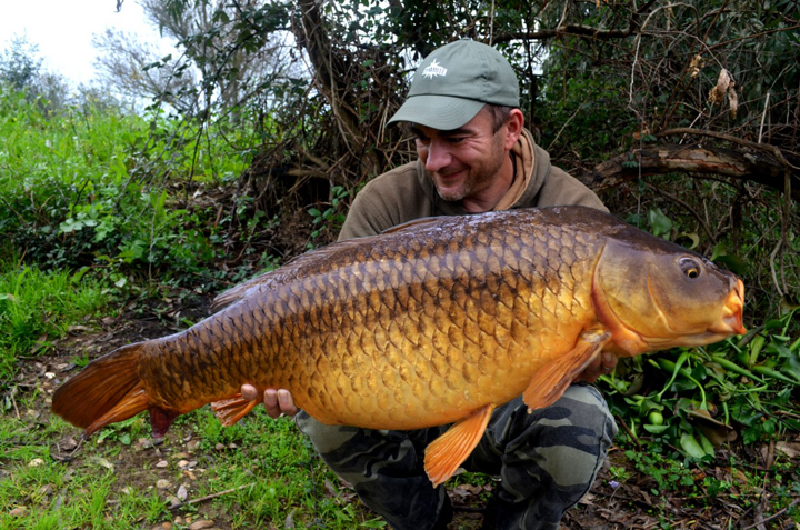 Pesca de Carpas! Modalidades y Equipo Necesario