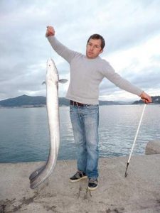 La Pesca De Congrio – Consejos Básicos Y Equipo De Pesca